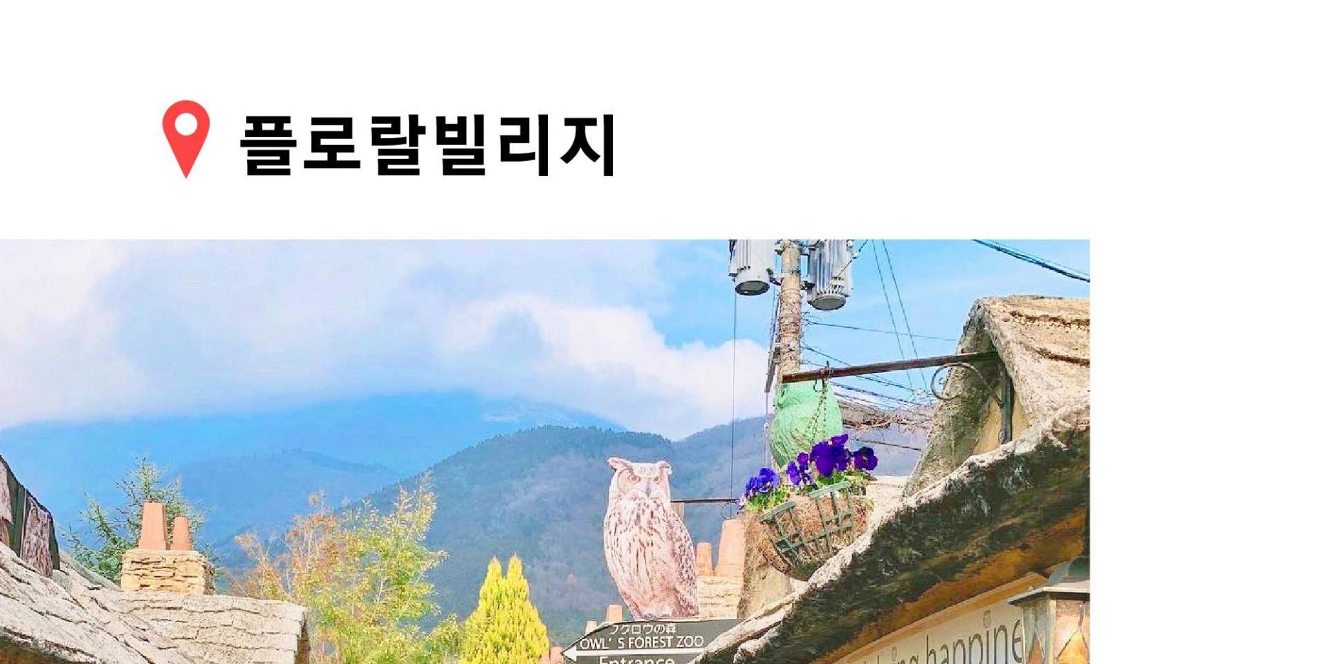 후쿠오카 유후인 And 쿠로가와 일일 버스투어 유투어버스쿠로가와 하차 가능 클룩 Klook 한국